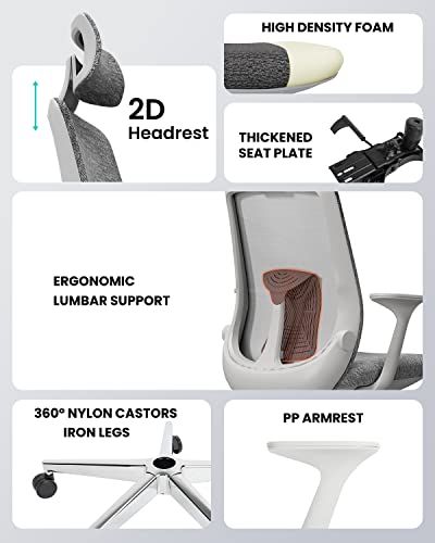 Dripex Mesh Office Chair for Home, Ergonomic Desk Chair with Arms/Lumbar Support/Mesh Back/Adjustable Headrest & Height/Wheels, Computer Chairs Tilt Reclining Swivel Rolling Chair, Grey