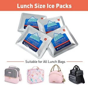 TOURIT Reusable Ice Pack for Coolers, Long Lasting, Cooler Ice Packs for Cooler Bag, Lunch Bags/Boxes, Cooler Backpacks, Freezer Packs for Coolers(Set of 4)