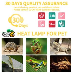 LUCKY HERP New Upgrade 3 Pack 50W Reptile Heat Lamp Bulb (3nd Gen, Safer), Amphibian UVA Heat Light Bulb, Reptile Basking Daylight Spot Lamp Bulb for Bearded Dragon, Lizard, Tortoise Heating Use