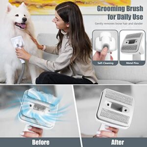 lvittyPet Dog Grooming Kit & Pet Hair Vacuum(Low Noise) Pet Grooming Vacuum with Powerful Suction 1.8L,5 Pet Grooming Tools for Dogs Vacuum for Shedding Grooming