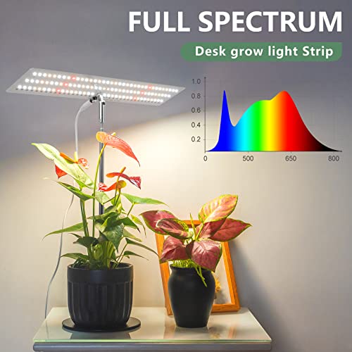 LORDEM Grow Light, Full Spectrum LED Plant Light for Indoor Plants, Height Adjustable Growing Lamp with Auto On/Off Timer 4H/8H/12H, 4 Dimmable Brightness, Ideal for Home Desk Plant Lighting