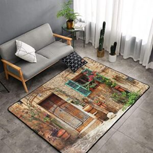 soft area rug non slip washable for indoor,streets of old mediterranean towns provence landscape flower door windows,large floor carpets doormat covering living room bedroom 4 x 5.3ft