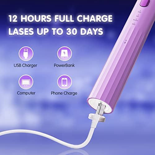 SARMOCARE Sonic Electric Toothbrush with 6 Replacement Heads and Premium Travel Case, 4 Modes, Rechargeable Power Toothbrush, Purple M300