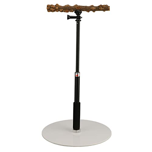 ASHATA Play Stand, Bird Perch, Portable Detachable Play Stand for Indoor Outdoor Traveling Birds to Stand, Climb or Play