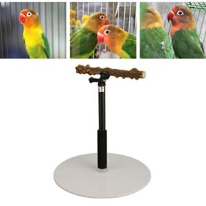 ASHATA Play Stand, Bird Perch, Portable Detachable Play Stand for Indoor Outdoor Traveling Birds to Stand, Climb or Play