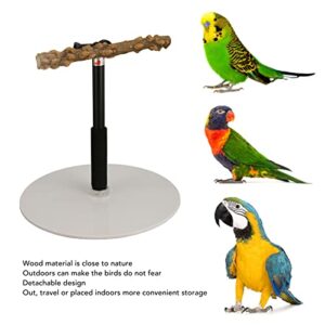 ASHATA Play Stand, Bird Perch, Portable Detachable Play Stand for Indoor Outdoor Traveling Birds to Stand, Climb or Play