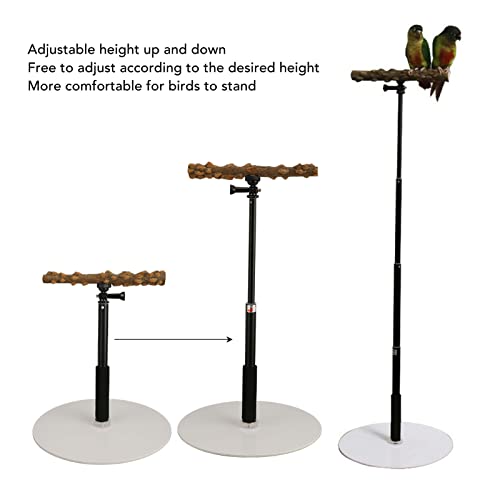 ASHATA Play Stand, Bird Perch, Portable Detachable Play Stand for Indoor Outdoor Traveling Birds to Stand, Climb or Play