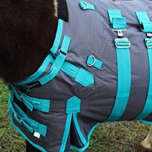 CHALLENGER 58" 1000D Miniature Weanling Donkey Pony Horse Foal Winter Blanket 51974TL