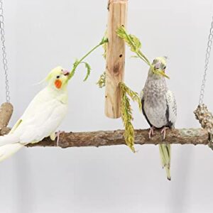 Large Bird Perch Swing Toy, Natural Pepper Wood Parrot Perch Stand Toy, Hangable Birdcage Accessories with Stainless Steel, Bird Chewing Toy for Parrot Parakeet Budgies Lovebirds(18×10 Inches(L×W))