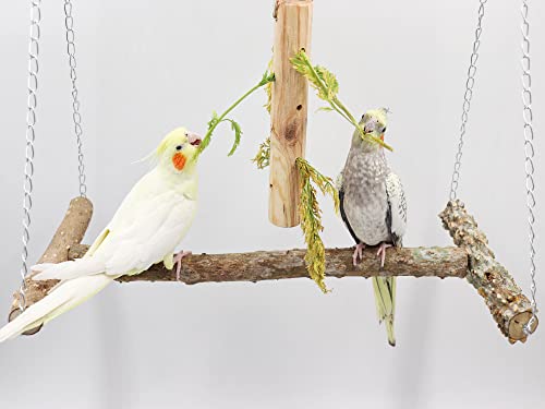 Large Bird Perch Swing Toy, Natural Pepper Wood Parrot Perch Stand Toy, Hangable Birdcage Accessories with Stainless Steel, Bird Chewing Toy for Parrot Parakeet Budgies Lovebirds(18×10 Inches(L×W))