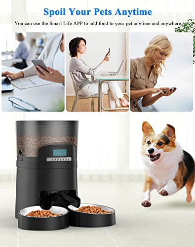 HoneyGuaridan Automatic Cat Feeder for 2 Cats,Wi-Fi Smart Pet Feeder,Timer Cat Food Dispenser for Cats & Dogs, APP Control,Dessicant, Voice Recorder,Stainless Steel Bowl 1-6 Meals a Day (Black)