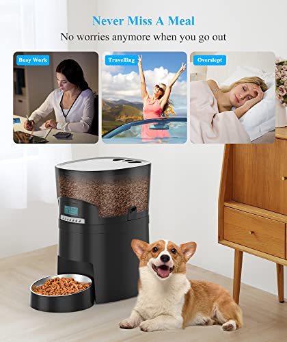 Cat Feeder, HoneyGuaridan 4.5L Automatic Pet Feeder for Dogs Food Dispenser Auto Cat Feeder – 6 Meal Portion Control, Distribution Alarm, Programmable Timer Feeder, Customizable Voice Recorder Black