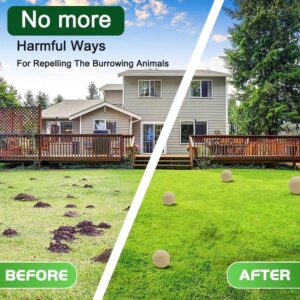 anewnice mole repellent,vole repellent outdoor,natural gopher repellent,mole deterrent for lawn,get rid of moles in your yard, outdoor groundhog&mole control, wofimeha safe around pet & plant (8 pack)