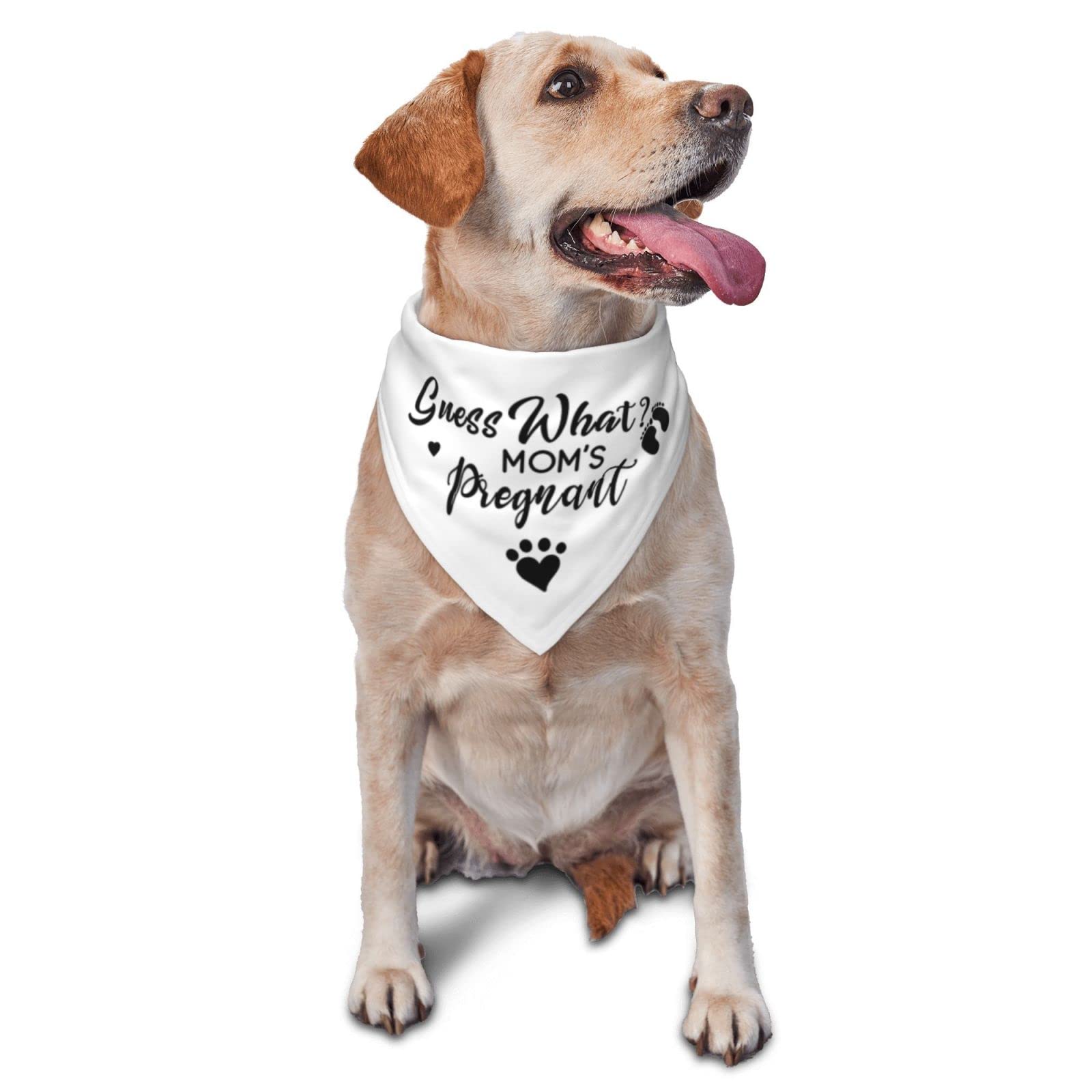 vercosee Guess What? My Mom is Pregnant, Pregnancy Announcement Dog Bandana, Gender Reveal Photo Prop Pet Scarf Decorations Accessories, Pet Scarves Dog Lovers Owner Gift,Pack of 2 (White)