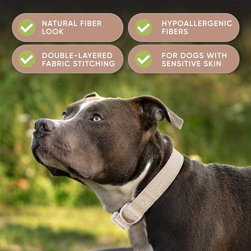 DCSP Pets - Dog Collar – Heavy-Duty Dog Collar for Small Dogs, Medium and Large – Eco-Friendly Natural Fabric – Durable and Skin-Friendly – Soft Dog Collar for All Breeds (Medium, Khaki)