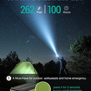 BLAVOR Solar Power Bank with FM Radio,Portable Wireless Charger 20000mAh External Battery Pack 15W QC 3.0 Fast Charging,Bright Flashlight, Compatible with Smartphones and All USB Devices (Green)