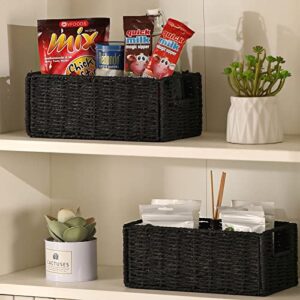 Small Wicker Storage Baskets, Vagusicc Hand-Woven Paper Rope Storage Organizer Baskets Bins (Set of 2), Toilet Paper Small Wicker Baskets with Handles for Organizing Toilet Shelves Pantry, Black