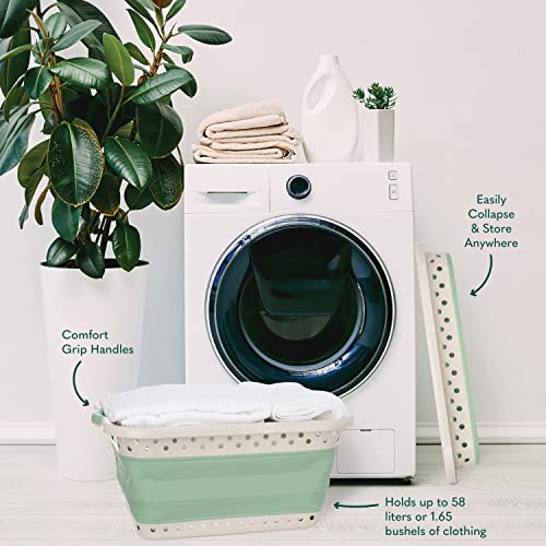 Simply Green 2 Pack Eco Collapsible Foldable Container for Storage and Organization, Space Saving Collapsible Laundry Hamper Basket, Dual grip handles, 25" Large, 1 Green & 1 Grey