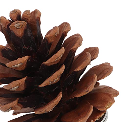 AUHX Pine Cone Chewing Bird Toy, Parrots Chewing Pine Cones Bite Resistant Multifunction for Conure for Cockatiel