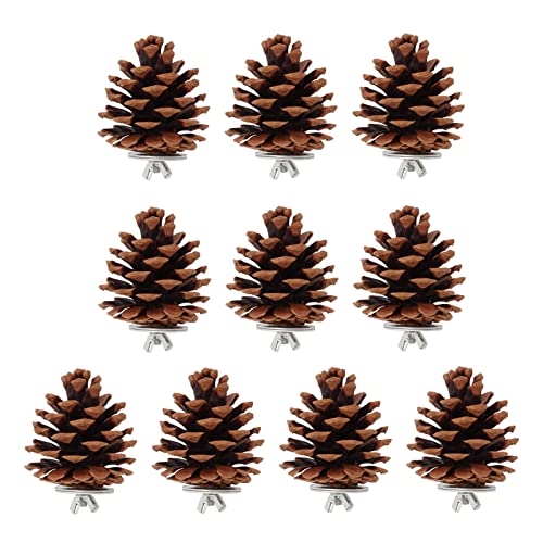 AUHX Pine Cone Chewing Bird Toy, Parrots Chewing Pine Cones Bite Resistant Multifunction for Conure for Cockatiel