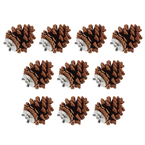 AUHX Pine Cone Chewing Bird Toy, Parrots Chewing Pine Cones Bite Resistant Multifunction for Conure for Cockatiel