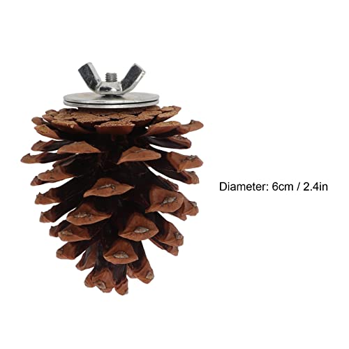 AUHX Pine Cone Chewing Bird Toy, Parrots Chewing Pine Cones Bite Resistant Multifunction for Conure for Cockatiel