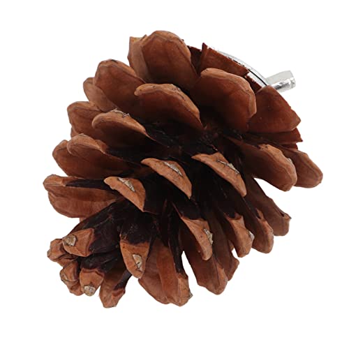 AUHX Pine Cone Chewing Bird Toy, Parrots Chewing Pine Cones Bite Resistant Multifunction for Conure for Cockatiel