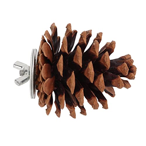 AUHX Pine Cone Chewing Bird Toy, Parrots Chewing Pine Cones Bite Resistant Multifunction for Conure for Cockatiel