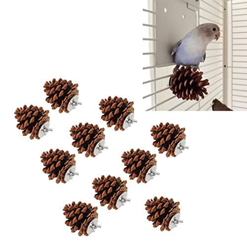 AUHX Pine Cone Chewing Bird Toy, Parrots Chewing Pine Cones Bite Resistant Multifunction for Conure for Cockatiel