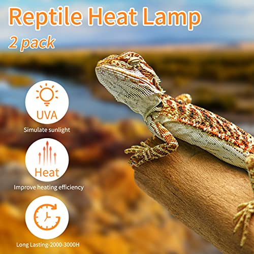 REPTI HOME Reptile Heat Lamp Bulbs (New Upgraded, Safer, 100W 2 Pack), Reptiles & Amphibians UVA Basking Spot Lamp Bulb, Reptile Daylight Heat Bulb for Bearded Dragon, Lizard, Turtle