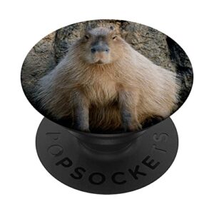 Capybara PopSockets Swappable PopGrip