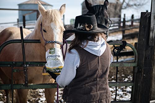 Hemptana Hemp Protein Supersnacks for Horses - Horse Treats to Support Digestive, Cognitive, & Joint Health - Improved Equine Stress Response – High Protein Horse Supplement - (4 lbs)