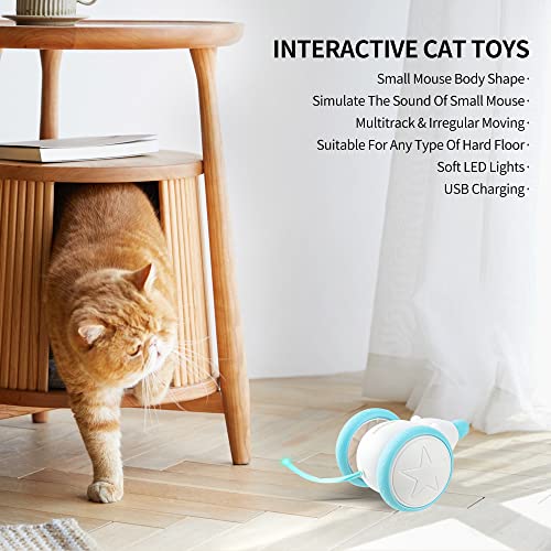 Zisnkdas Interactive Cat Toys for Indoor Cats, Automatic Cat Mouse Chase Toys with LED Light, Smart Electric Cat Toys, Mouse Squeaking Sound,USB Rechargeable, Kitten Toys for Pet Exercise Playing