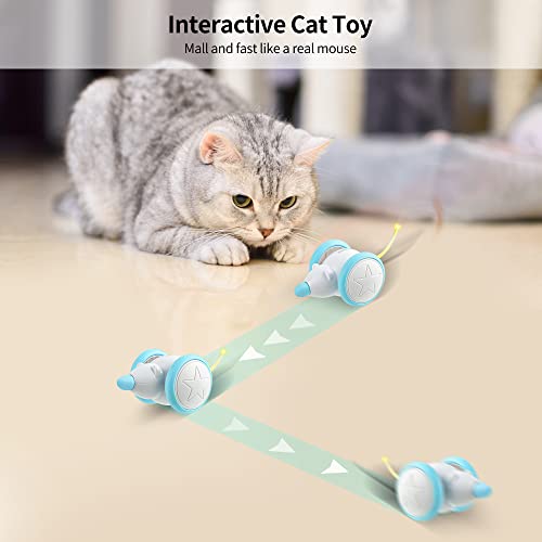 Zisnkdas Interactive Cat Toys for Indoor Cats, Automatic Cat Mouse Chase Toys with LED Light, Smart Electric Cat Toys, Mouse Squeaking Sound,USB Rechargeable, Kitten Toys for Pet Exercise Playing