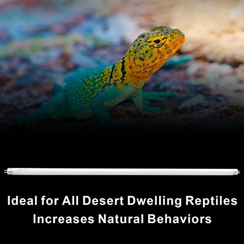 Aiicioo T5 HO Reptile UVB Light - Desert UVA UVB 10.0 Fluorescent Lamp 22" Tube Lighting High Output for Lizard Bearded Dragon 24W