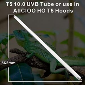 Aiicioo T5 HO Reptile UVB Light - Desert UVA UVB 10.0 Fluorescent Lamp 22" Tube Lighting High Output for Lizard Bearded Dragon 24W