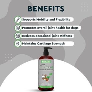 Premium Liquid Glucosamine for Dogs – Extra Strength Joint Support, Flexibility, Cartilage & Mobility - Hip and Joint Supplement with Chondroitin, MSM, Collagen & Hyaluronic Acid - All Ages (16 oz)