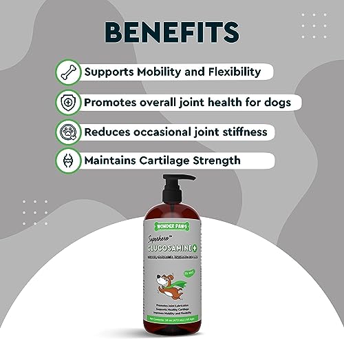 Premium Liquid Glucosamine for Dogs – Extra Strength Joint Support, Flexibility, Cartilage & Mobility - Hip and Joint Supplement with Chondroitin, MSM, Collagen & Hyaluronic Acid - All Ages (16 oz)