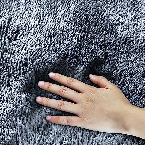 ROCYJULIN Fluffy Area Rug 4x6 for Bedroom, Ultra Soft 4x6 Area Rugs for Living Room, Non-Slip Shag Fuzzy Throw Rug for Nursery, Kids, Girls, Boys, Grey