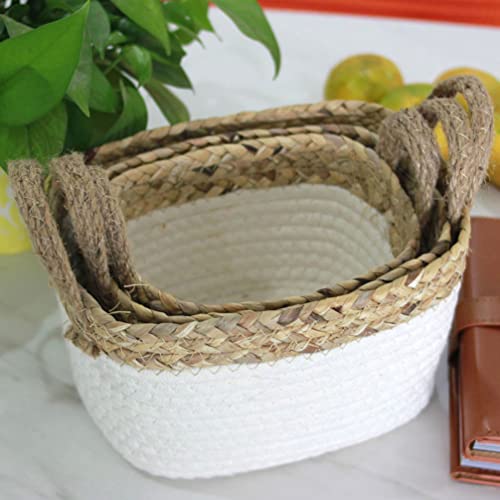 LIFKOME Snack Containers Storage Organizer Woven Storage Basket with Handle Wicker Magazine Basket Book Holder Makeup Storage Basket Bin for Home Office 19cm Woven Baskets Woven Baskets