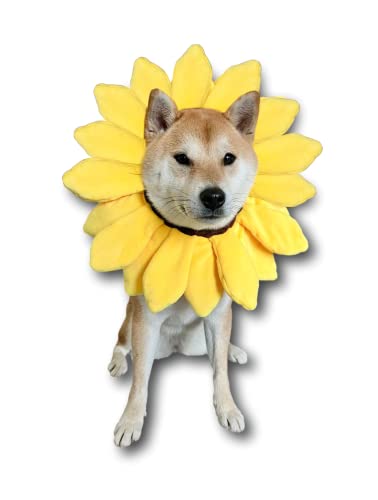 ComfyCamper Sunflower Dog Costume for Small Medium Large Dog Puppy Puppies Cat Kitten – Cute Head Flower Headband Outfits – Collar Cone Costume Hat Sombrero Outfit Pet Cosplay Halloween (X-Large)