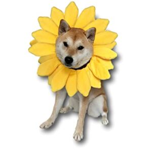 ComfyCamper Sunflower Dog Costume for Small Medium Large Dog Puppy Puppies Cat Kitten – Cute Head Flower Headband Outfits – Collar Cone Costume Hat Sombrero Outfit Pet Cosplay Halloween (X-Large)