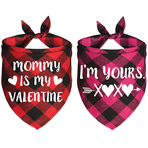 JOTFA 2 Pack Valentine’s Day Dog Bandanas, Plaid Dog Puppy Valentines Bandana Scarf for Small Medium Large Dogs Pets (Red & Pink)