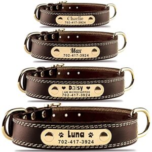 personalized dog collar - custom leather dog collar with engravable nameplate - durable name tag collar - customizable dog collar - comfortable id collars for small, medium, large dogs (small)