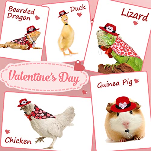 JOTFA 4 Pcs Bearded Dragon Valentine’s Day Costumes, Lizard Valentine’s Day Hats Bandanas Lizard Scarf Valentines Outfits for Bearded Dragon Lizard Hamster Guinea Pig Small Animal