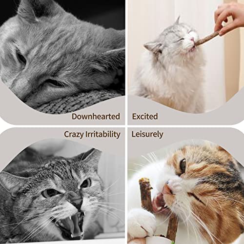 Rocendlor 30PCS Cat Chew Stick, Silvervine Sticks for Cats, Silver Vine, Matatabi, Catnip Sticks, Teething Molar Dental Sticks for Cat, Kitty, Kitten