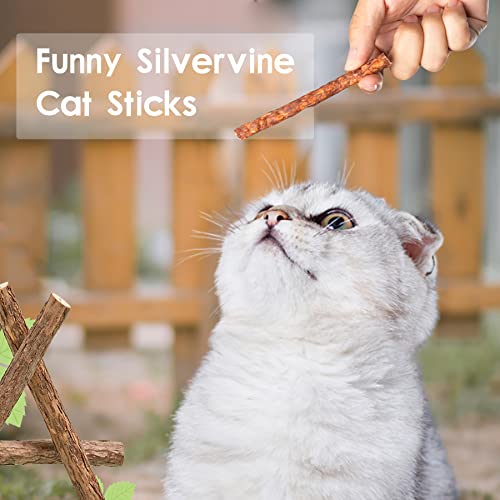 Rocendlor Cat Chew Stick, Silvervine Sticks for Cats, Catnip Toys, Silver Vine, Matatabi, Cleaning Teeth Molar Toy, Teething Interactive Wand Stick, Dental Sticks for Cat Kitty Kitten [30PCS/Pack]