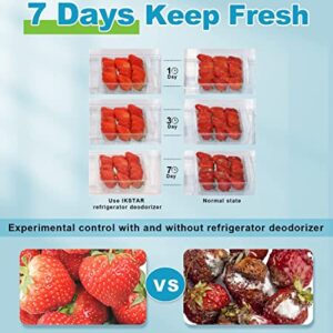 Fridge Deodorizer Mini Portable Reusable Refrigerator Deodorizer Eliminator for Refrigerators, Shoe Cabinet, Wardrobe, Car, Pet Home , More Effective Than Baking Soda and Charcoal Bags