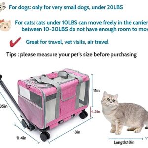 Cat Carrier, Dog Carrier Airline Approved【Fit American/TSA/Delta/United Airline】 for Small Dogs or Large Cat, Cat Bag Carrier with Wheels, Folding Pet Carrier Under Seat for Walking Travel Vet Visits