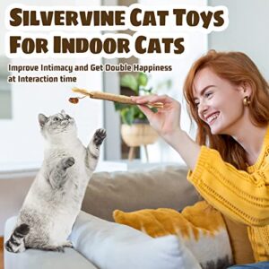 XGXN Cat Toy with Silvervine for Cats, Silvervine Sticks Interactive Cat Toys for Indoor Cats, Edible Catnip Cat Chew Toys for Cats Lick, Kitten Teeth Cleaning and Fresh Breath (3 Packs)